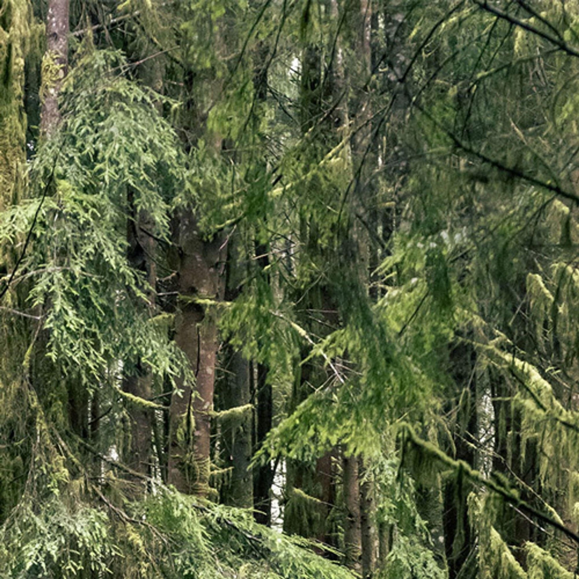 RUX - A better way to manage and carry your gear.